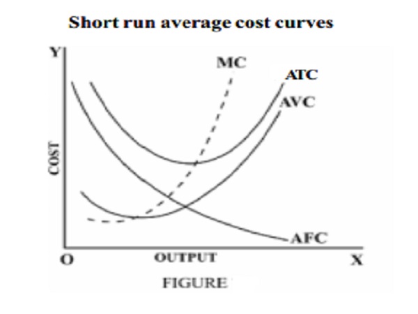 Short Run Average Cost Curves Average Fixed Average Variable And 