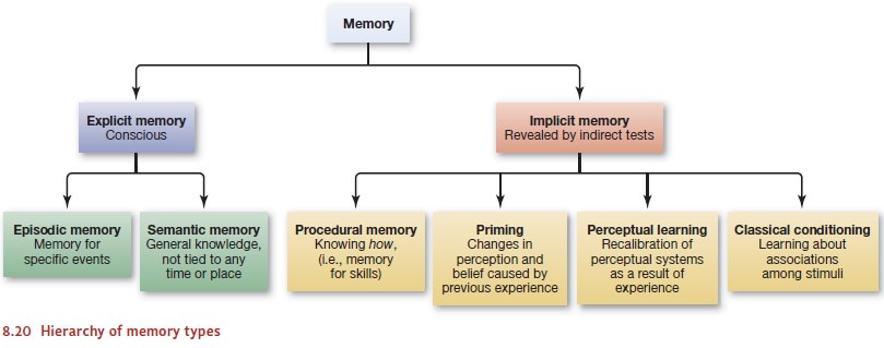 Psychology Varieties Of Memory