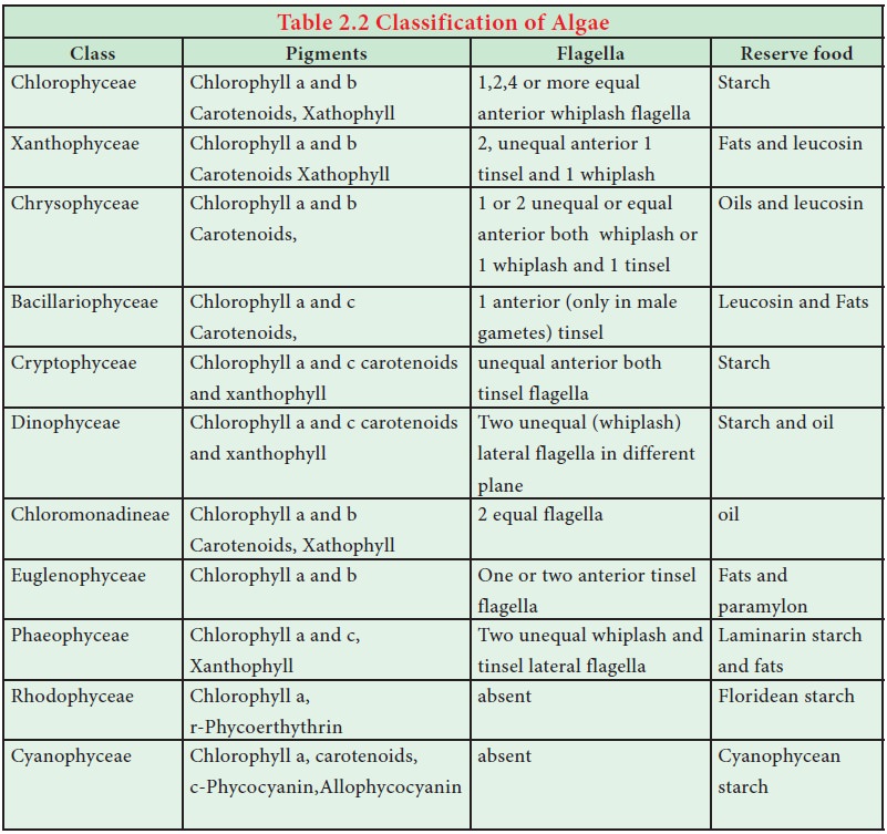 Algae Characteristic Features Classification Structure 