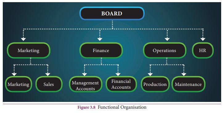 Functional Organization Merits Demerits Suitability