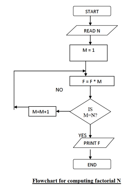 Make Your Own Flow Chart Algorithm And Pseudocode Vrogue