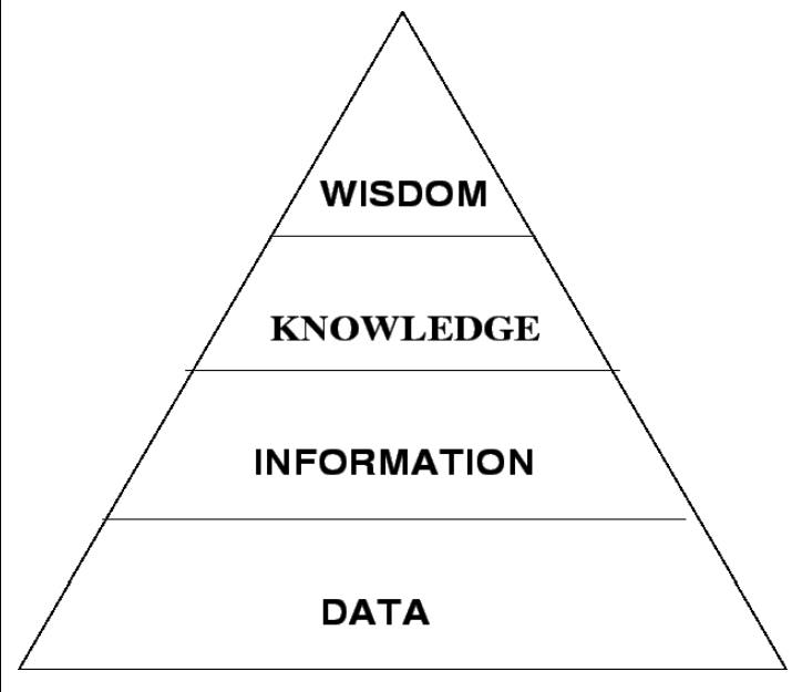 Knowledge Codification